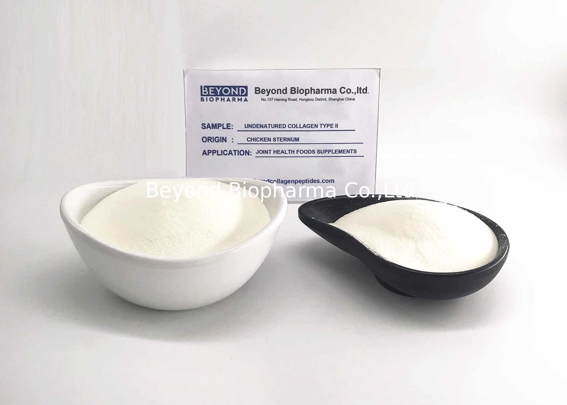 Strengthen Bone Function Chicken Collagen Type Ii , Collagen type ii ...